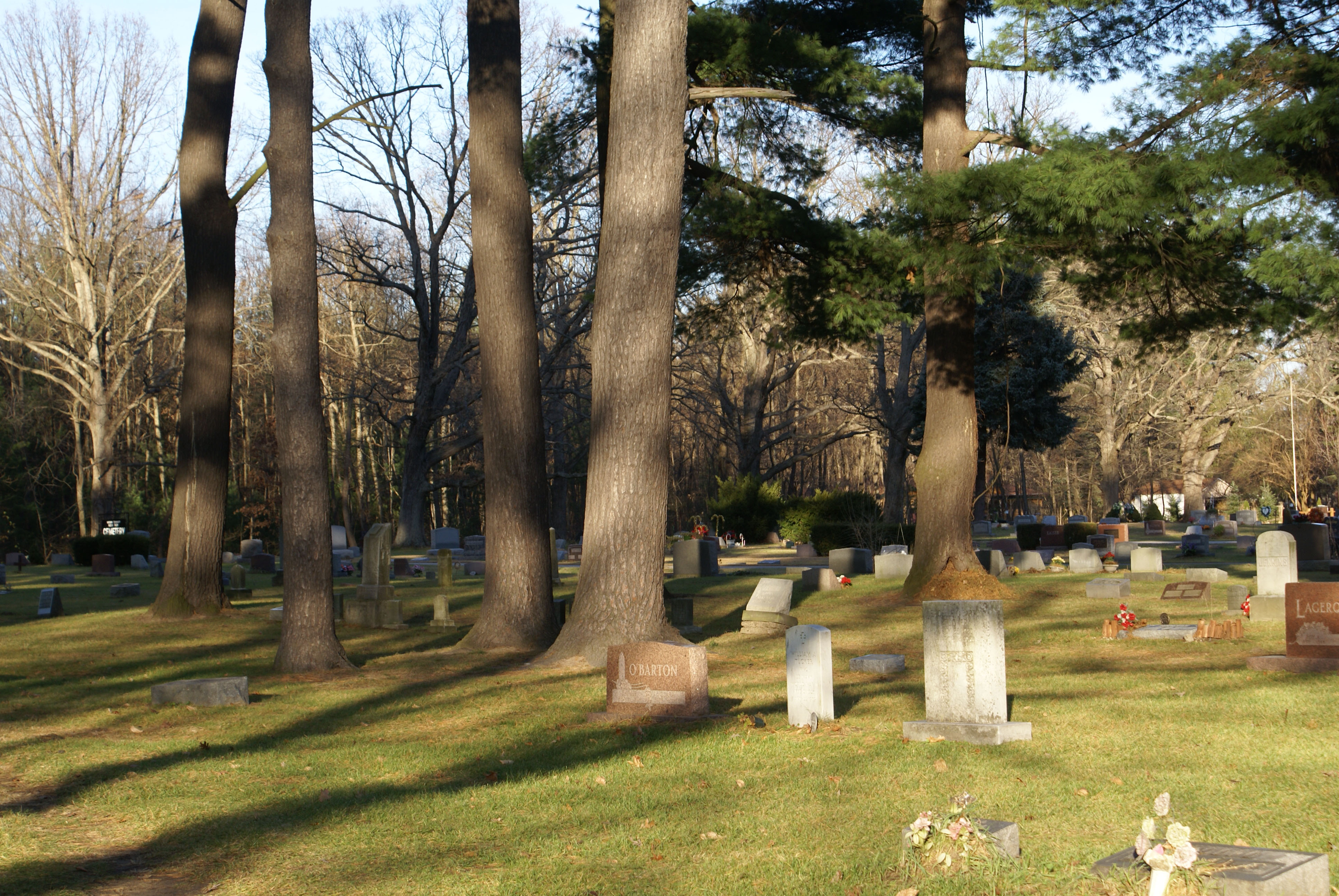 New Troy Cemetery, New Troy Michigan